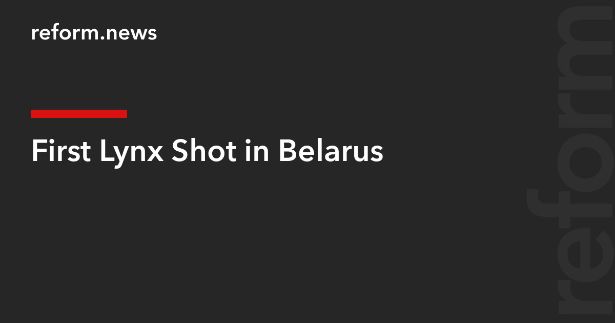 First Lynx Shot in Belarus – REFORM.news (formerly REFORM.by)