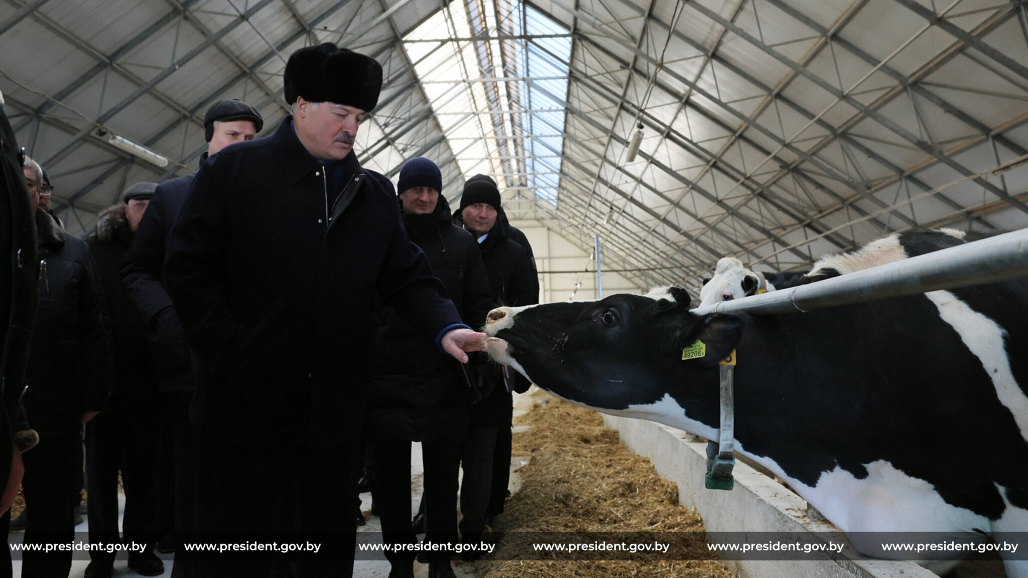 Lukashenka Signs Decree on Construction of Bull Fattening Complexes ...