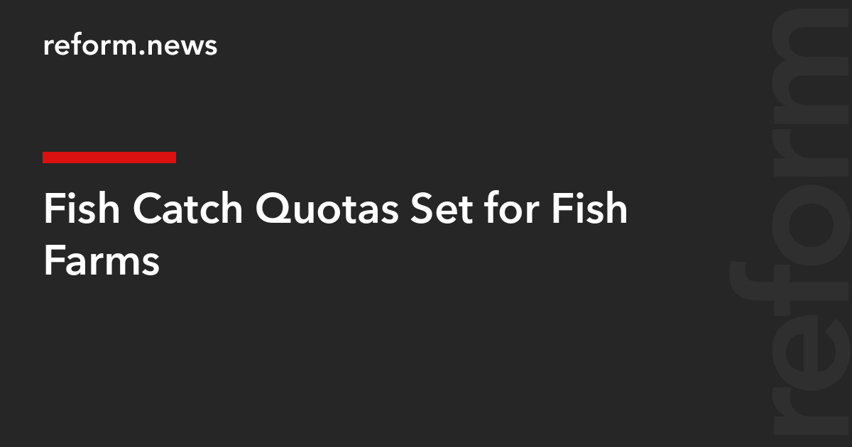 Fish Catch Quotas Set for Fish Farms – REFORM.news (formerly REFORM.by)